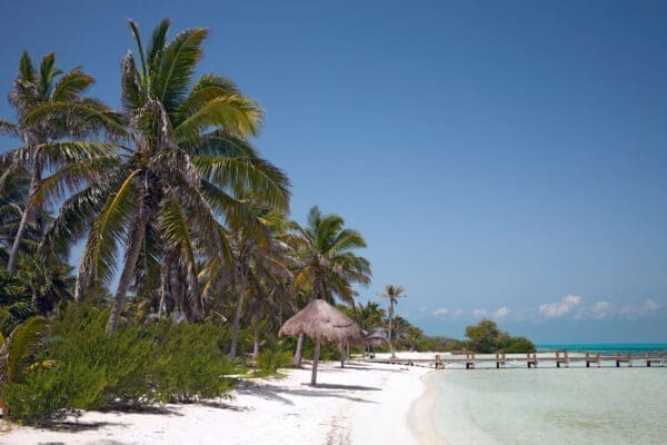 Isla Contoy & Mujeres Tour from Tulum