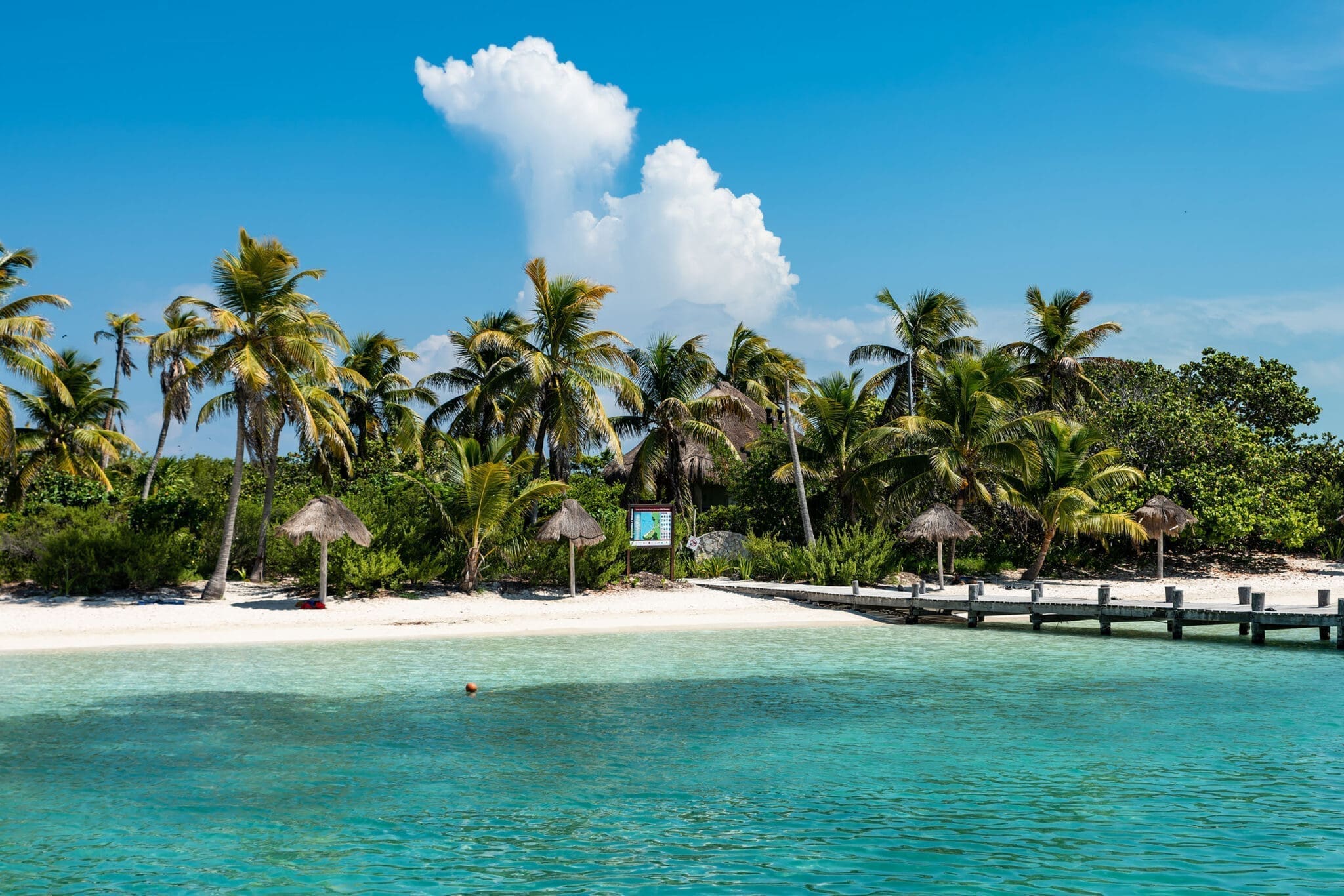 Isla Contoy & Mujeres Tour from Tulum