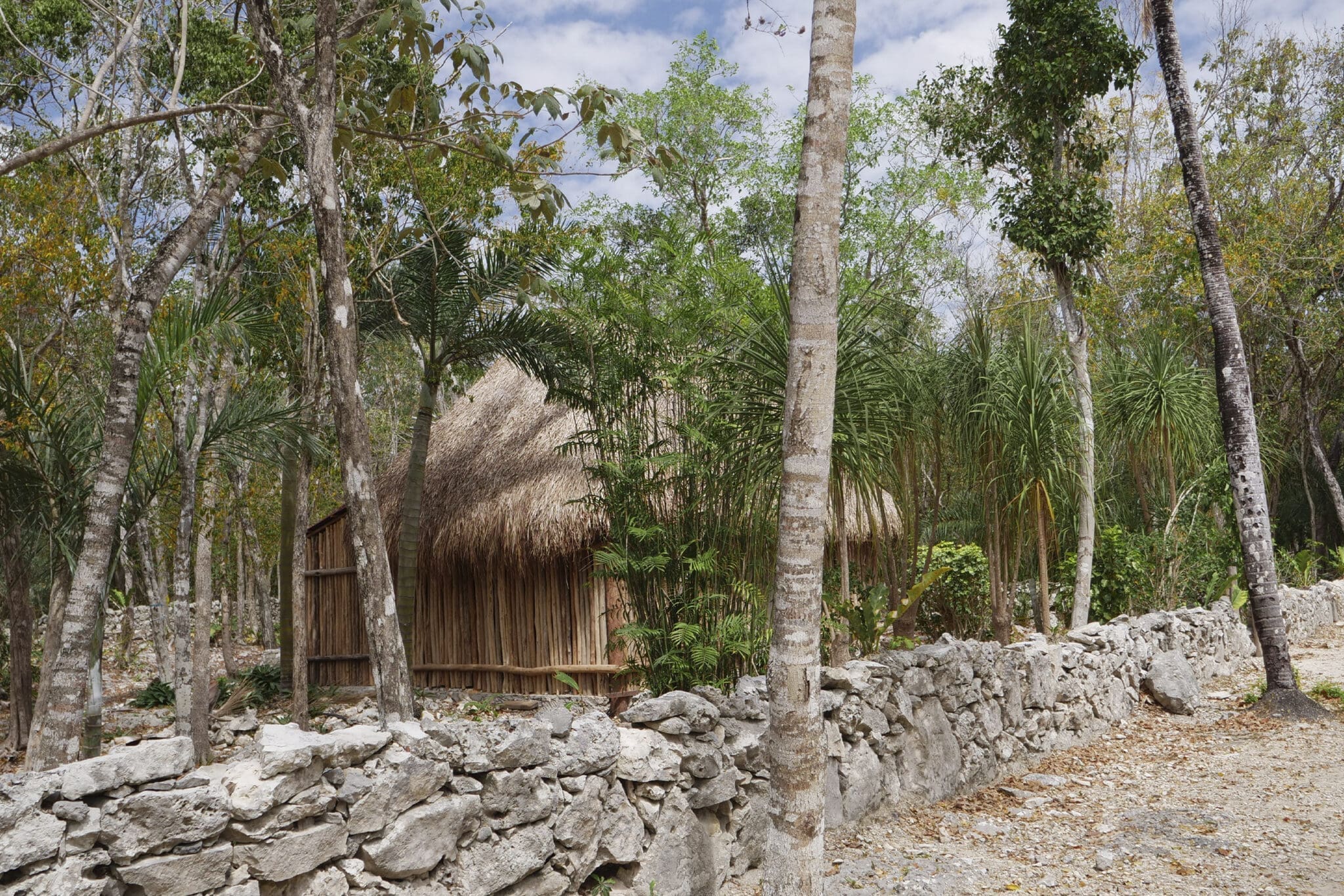 Coba Ruins Tour from Playa del Carmen - Blue Caribe Tours